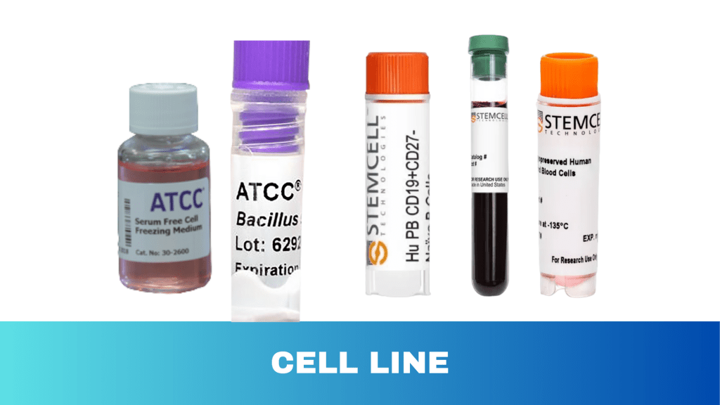CELL LINE | CV GAMMA SCIENTIFIC BIOLAB