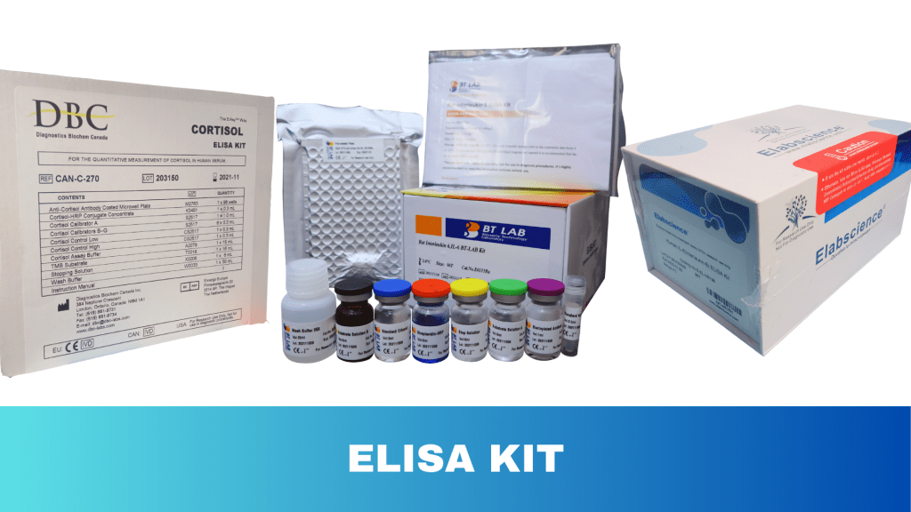 ELISA KIT | CV GAMMA SCIENTIFIC BIOLAB